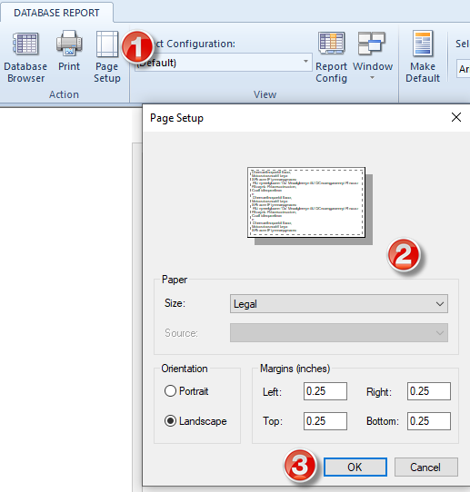 Printing the Database Report